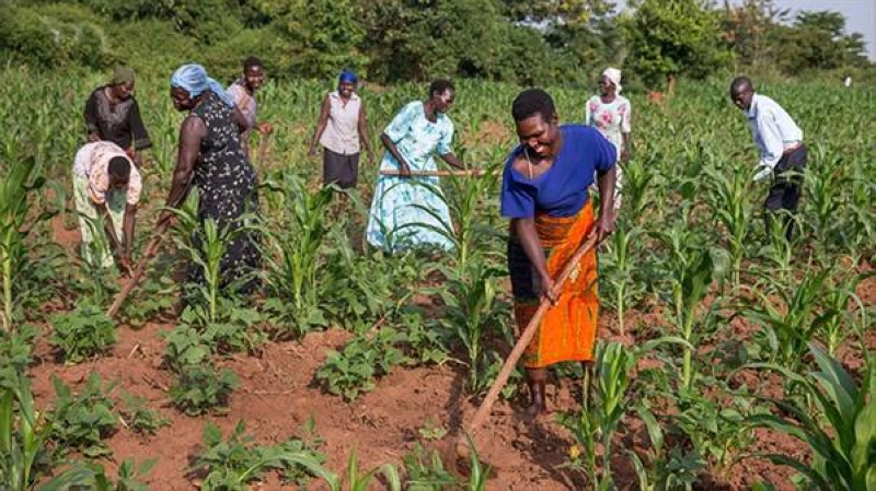 Niger. Des milliards FCFA pour le secteur agricole - L'Observateur