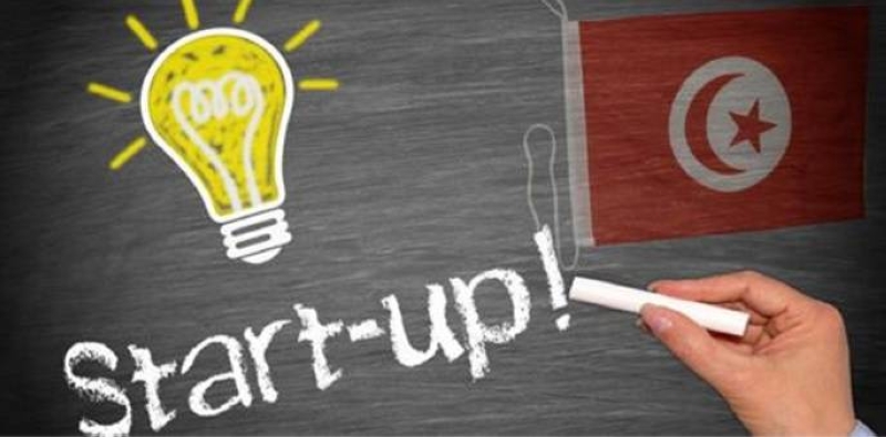 Rapport. La vie des startups tunisiennes - L'Observateur