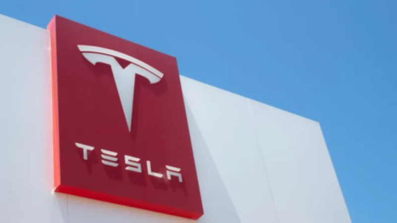 Tesla au Maroc. La marque d'Elon Musk s'installe à Kénitra - L'Observateur