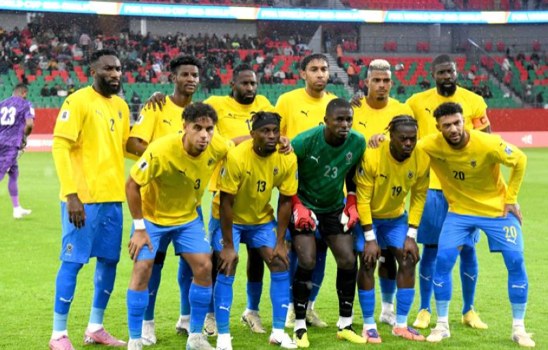 Gabon : la suspension des Panthères est levée - L'Observateur